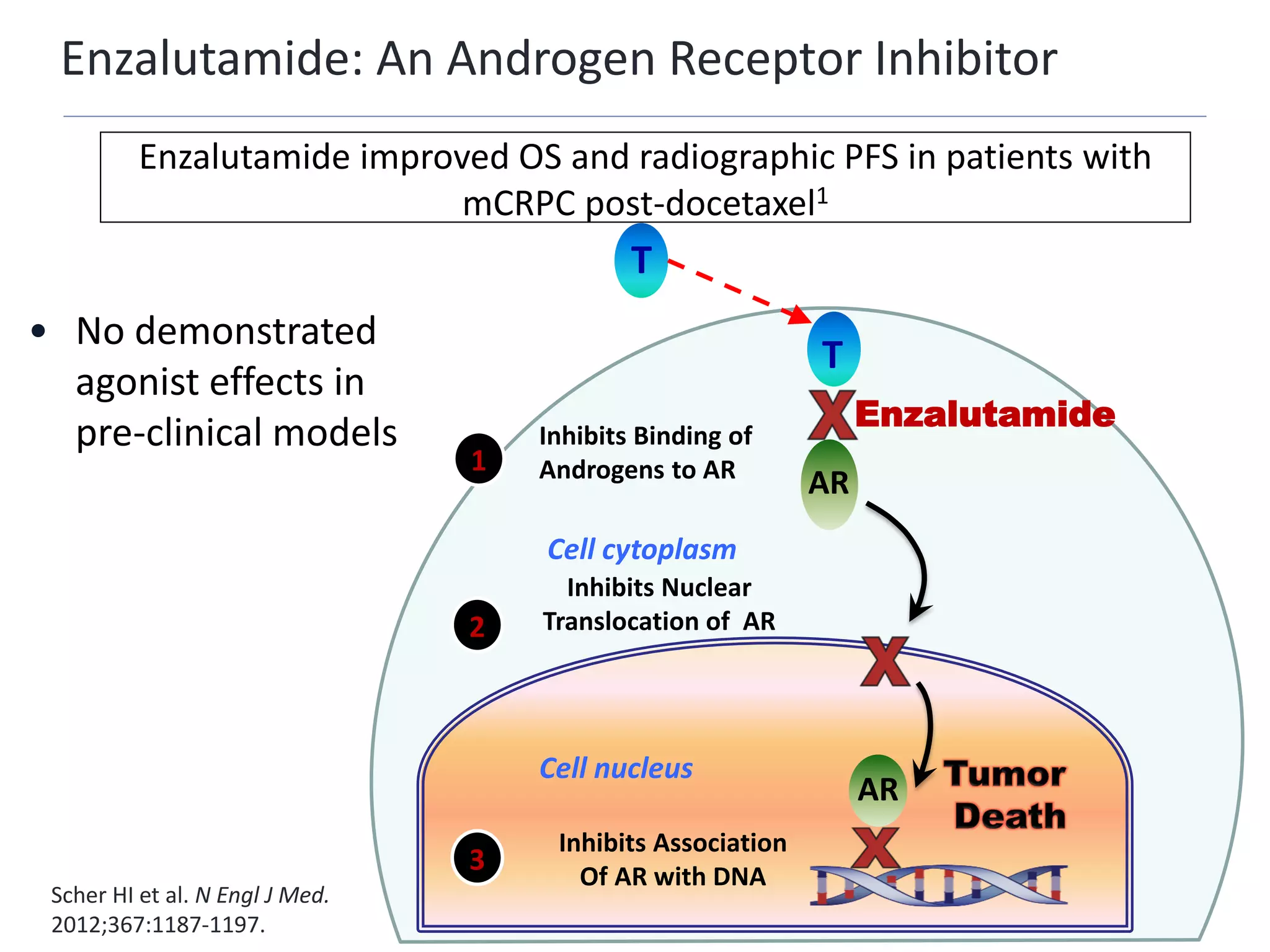 Sequencing Agents in Metastatic Prostate Cancer | PDF