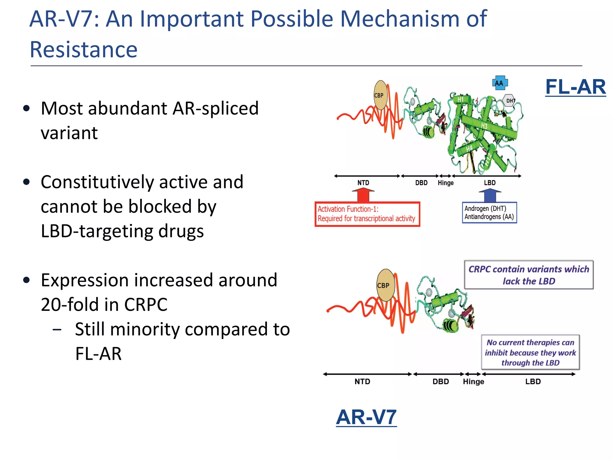 Sequencing Agents in Metastatic Prostate Cancer | PDF