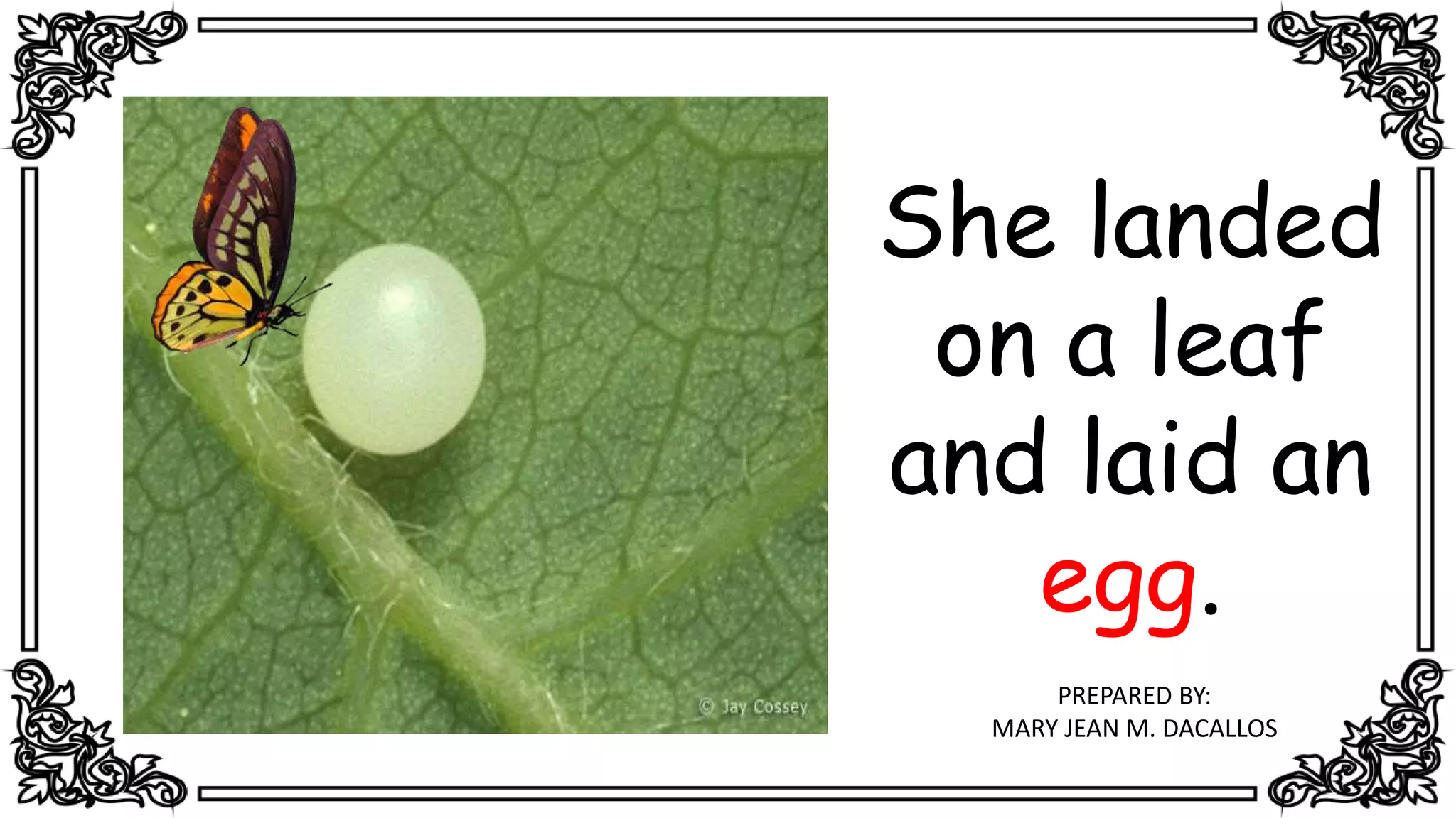 Sequencing of events grade 3 | PPTX