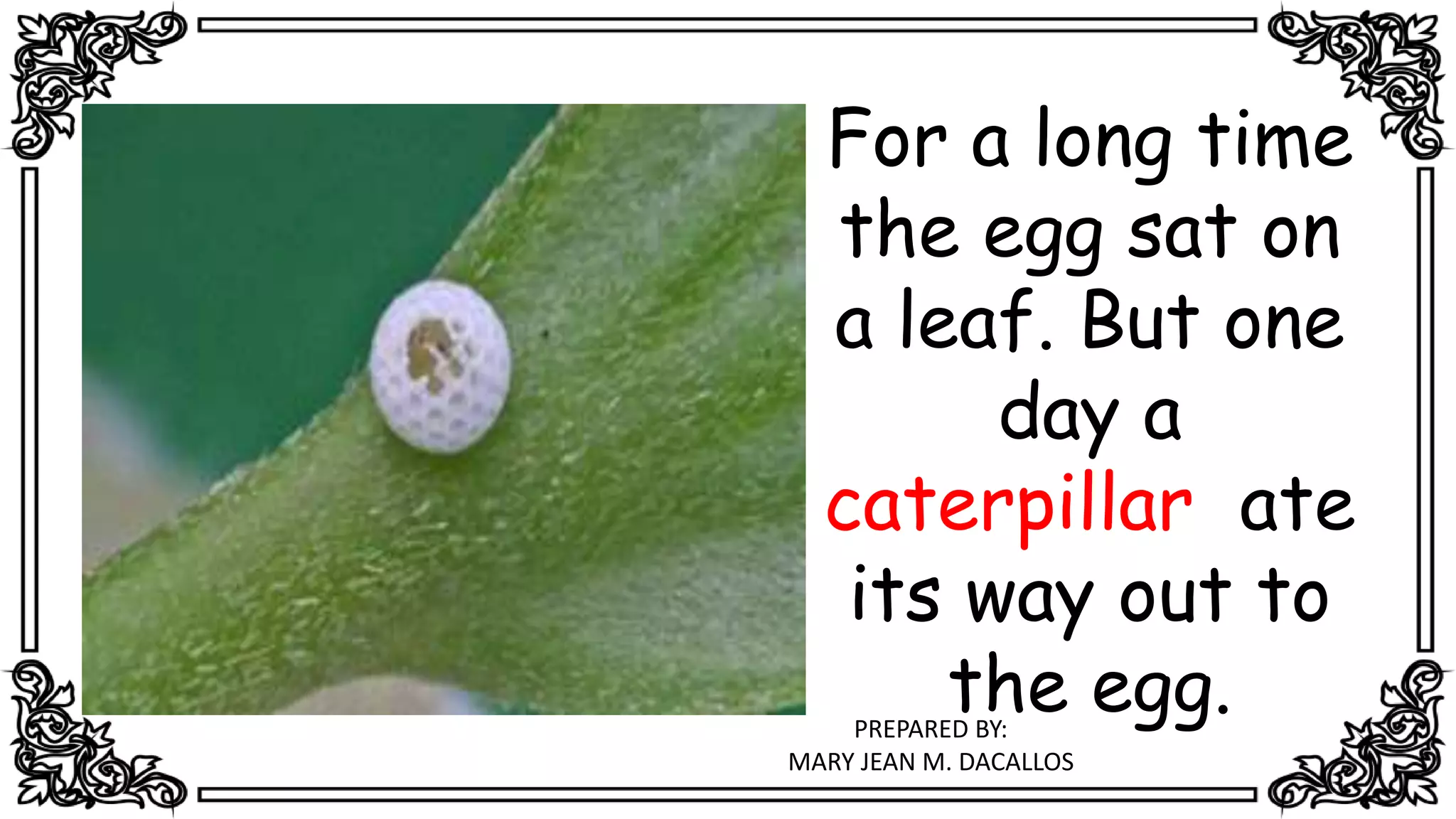 Sequencing of events grade 3 | PPTX