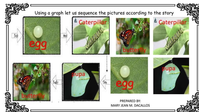Sequencing of events grade 3 | PPTX | Wedding | Personal Celebrations ...
