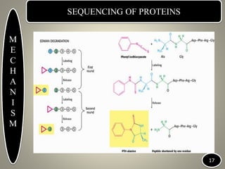 sequencingofprotein-151207051238-lva1-app6891.pdf