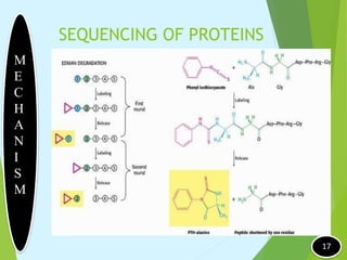 Sequencing of protein ppts | PPT