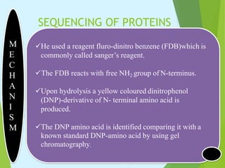 Sequencing of protein ppts | PPT