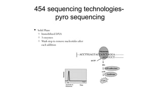 Sequencing Technologies (Sanger Pyro).pptx