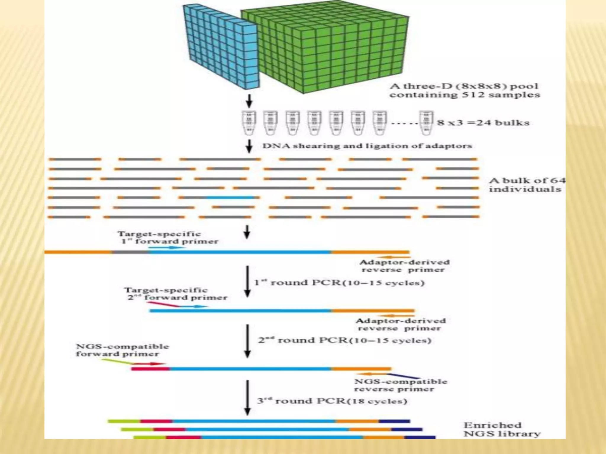 Next Generation Sequencing of DNA | PPTX