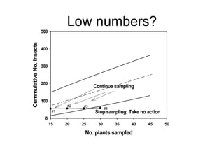 Sequential sampling banana aphid.ppt