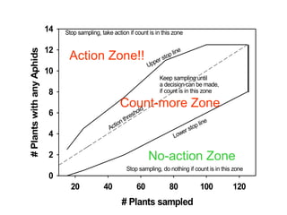 Sequential sampling banana aphid.ppt