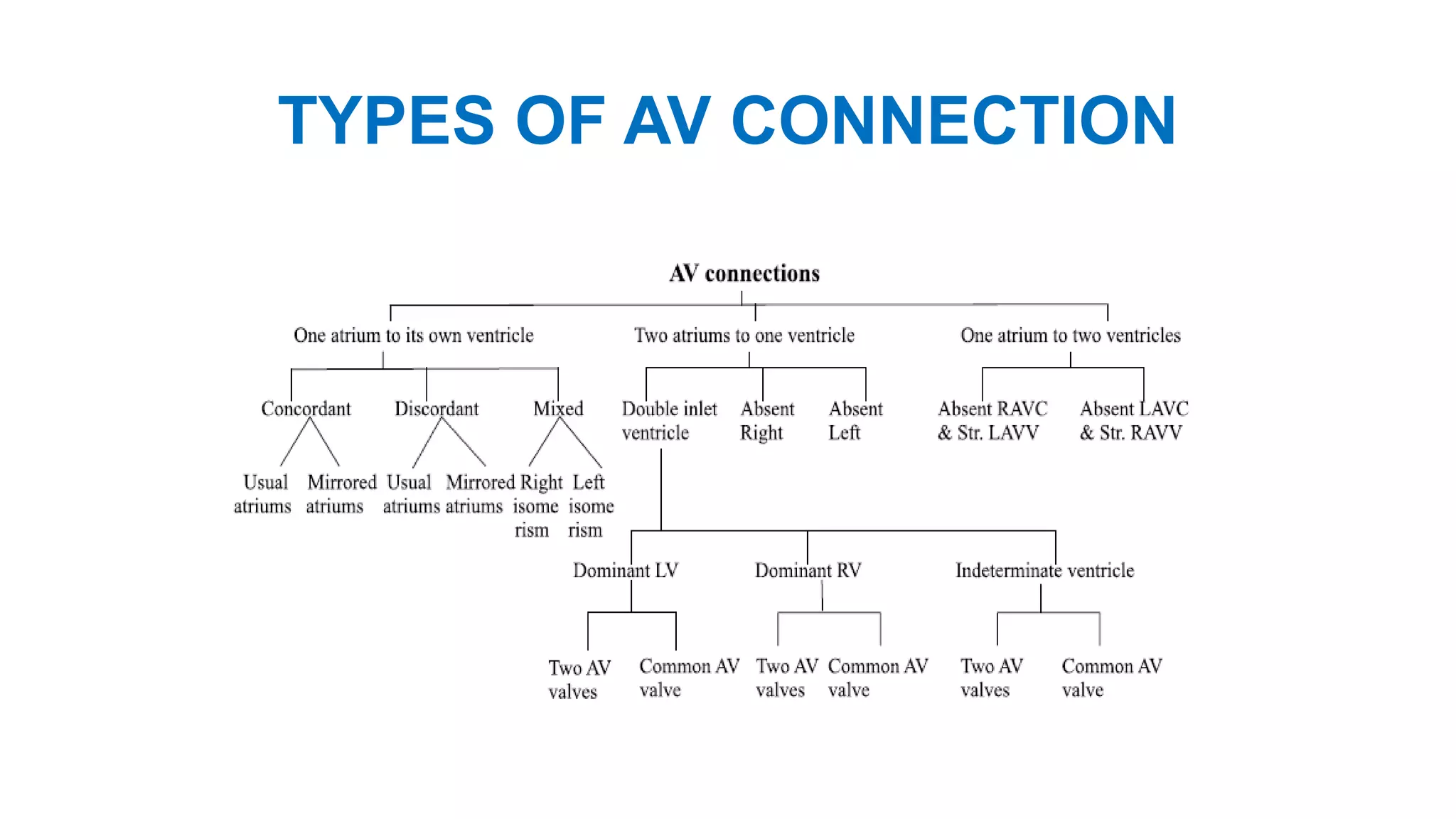 Sequential segmental analysis | PPTX