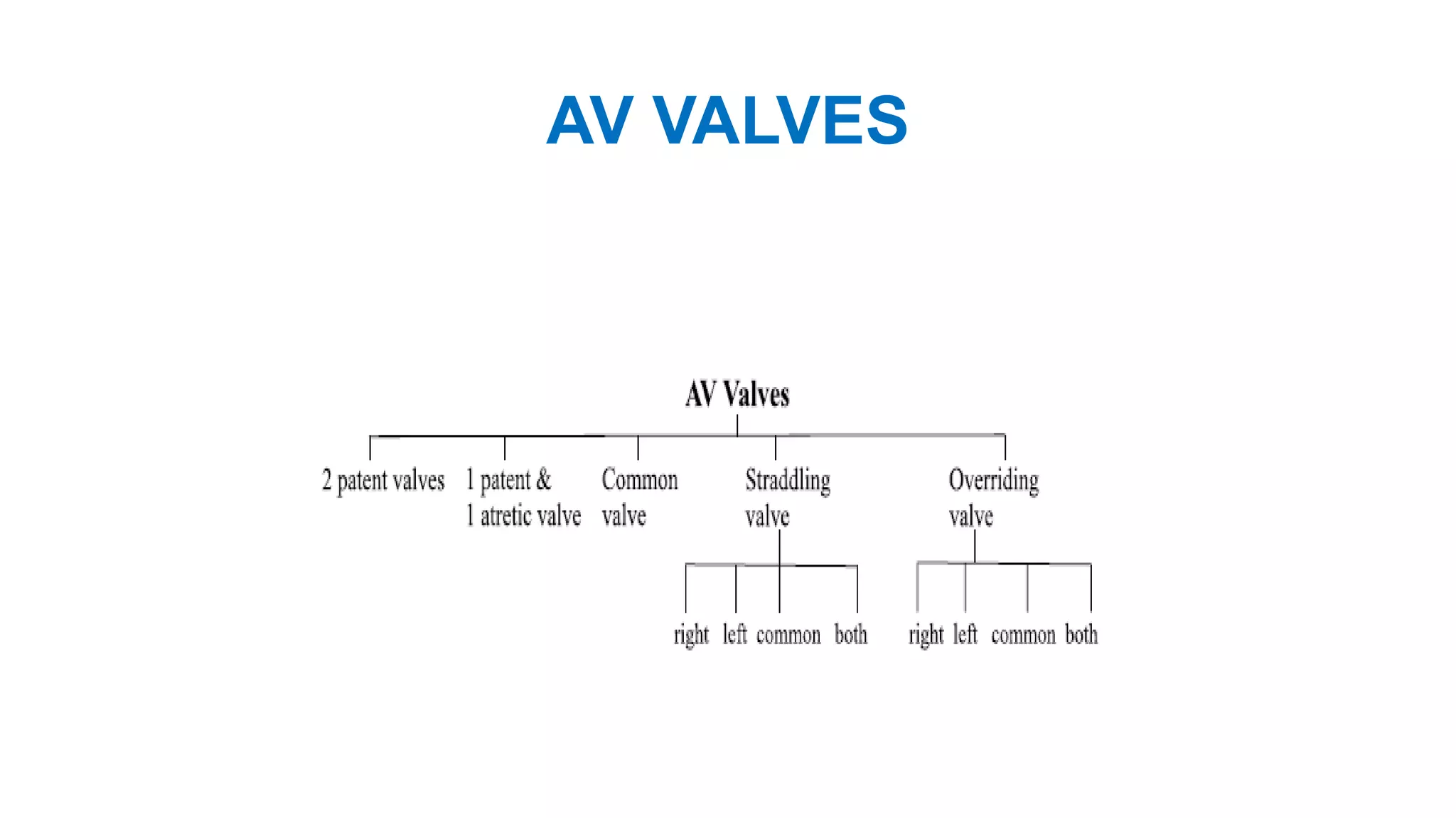 Sequential segmental analysis | PPTX
