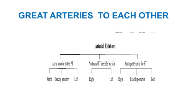 Sequential segmental analysis | PPTX | Heart and Cardiovascular ...