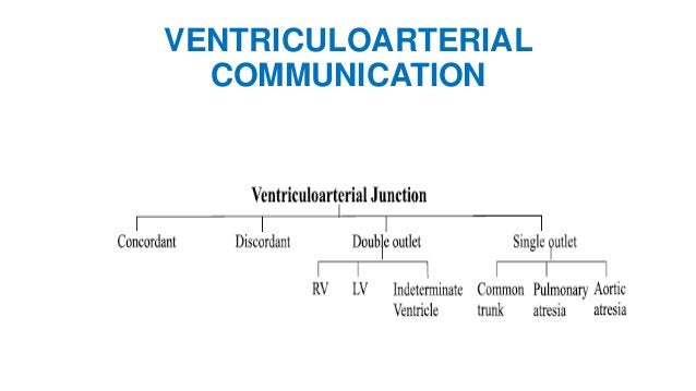Sequential segmental analysis | PPTX | Heart and Cardiovascular ...
