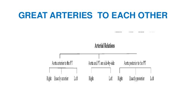 Sequential segmental analysis | PPTX | Heart and Cardiovascular ...