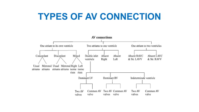 Sequential segmental analysis | PPTX | Heart and Cardiovascular ...