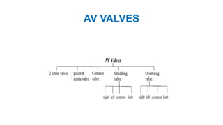 Sequential segmental analysis | PPTX