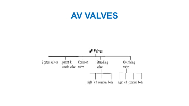 Sequential segmental analysis | PPTX | Heart and Cardiovascular ...
