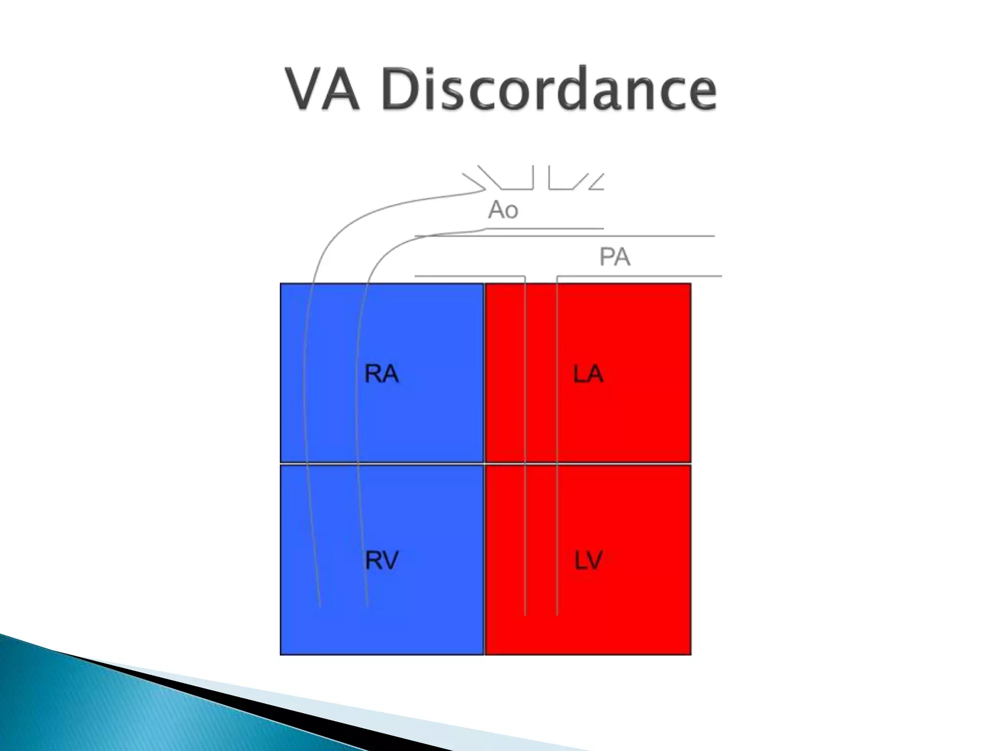 Sequential segmental analysis elkhatib | PPTX