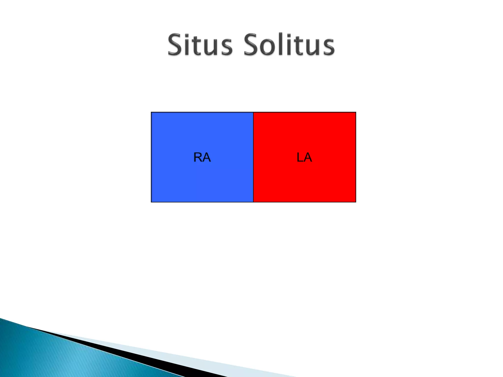 Sequential segmental analysis elkhatib | PPTX