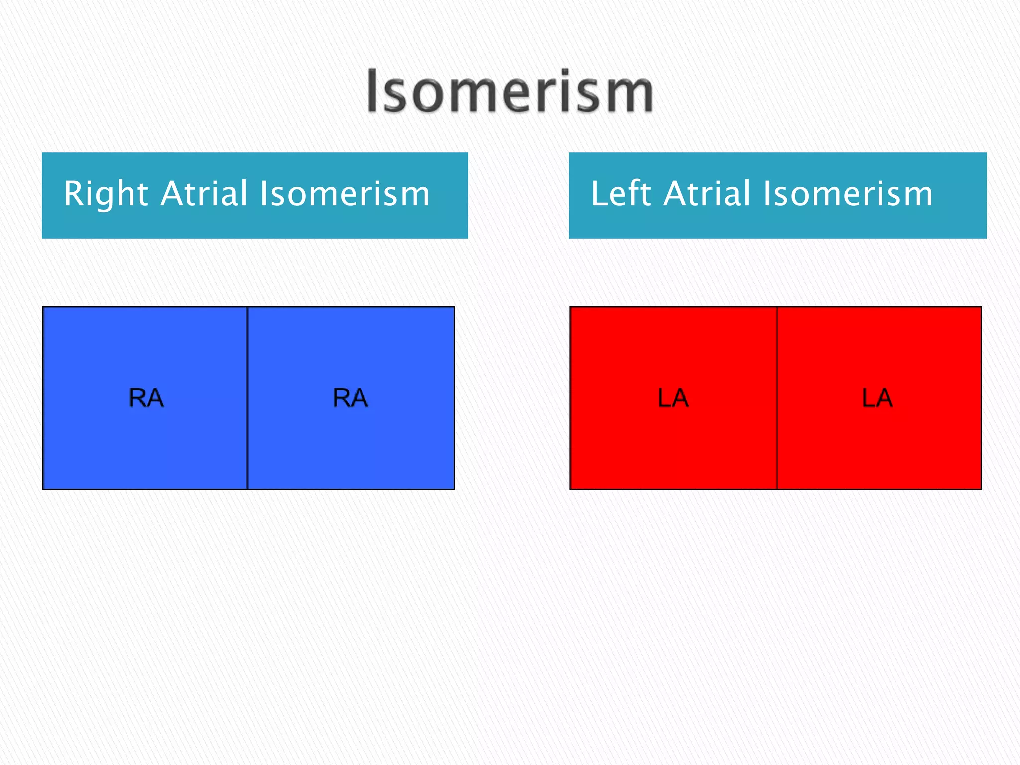 Sequential segmental analysis elkhatib | PPTX