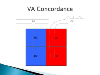 Sequential segmental analysis elkhatib | PPTX