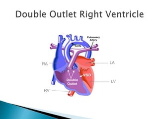 Sequential segmental analysis elkhatib | PPTX
