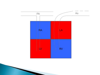 Sequential segmental analysis elkhatib | PPTX