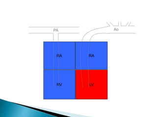 Sequential segmental analysis elkhatib | PPTX