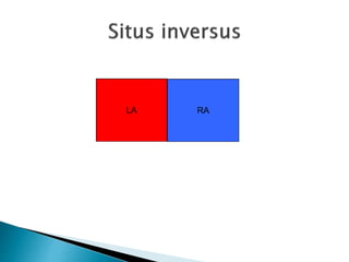 Sequential segmental analysis elkhatib | PPTX