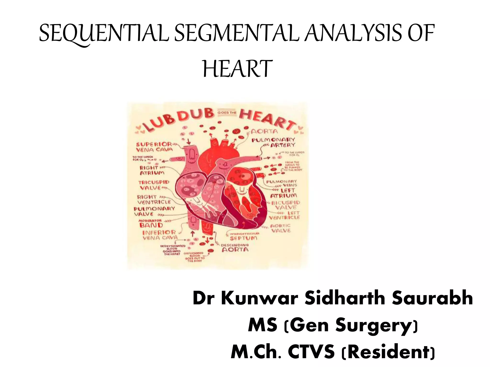 Sequential segmental analysis of heart | PPTX