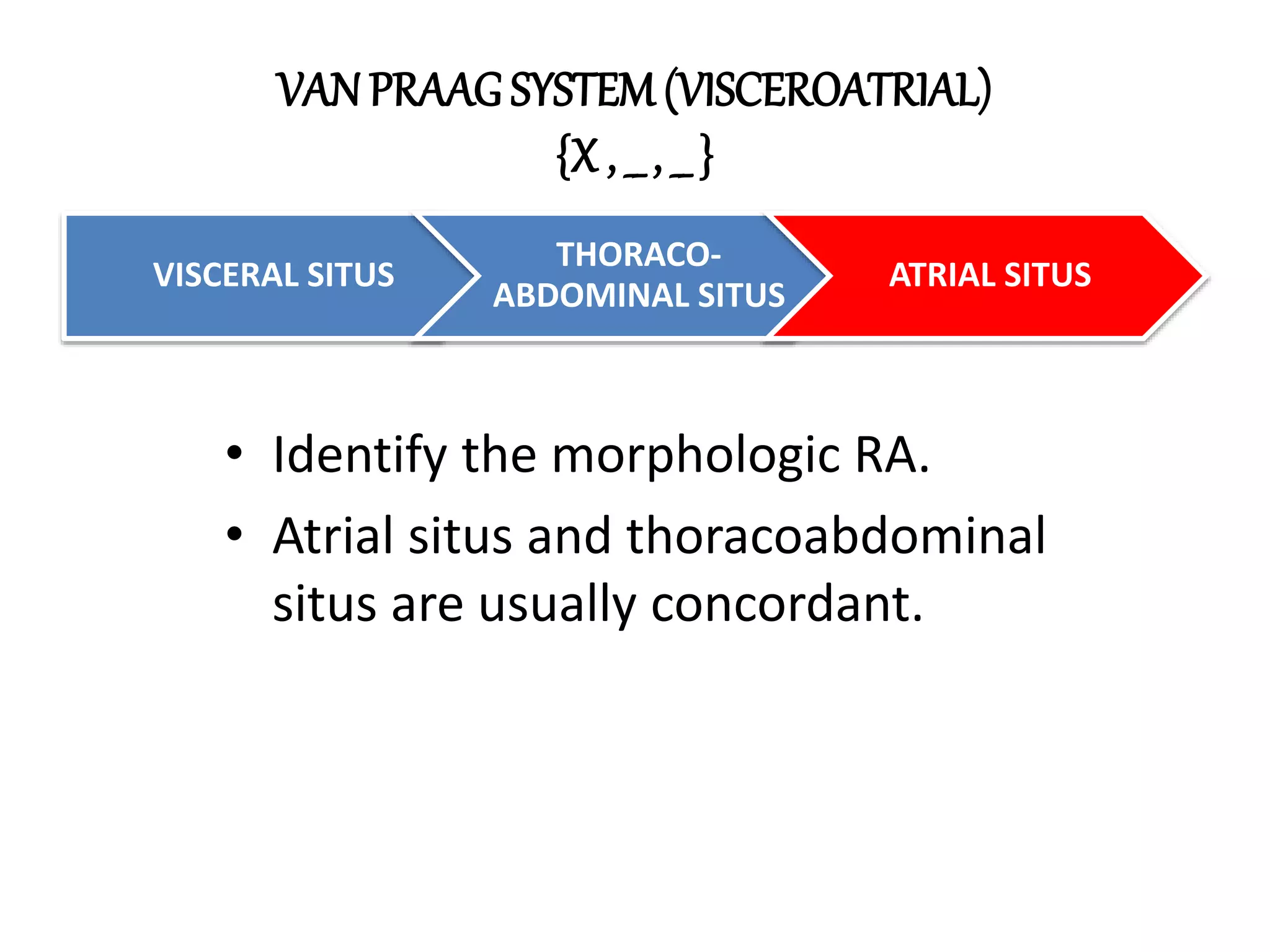 Sequential segmental analysis of heart | PPTX