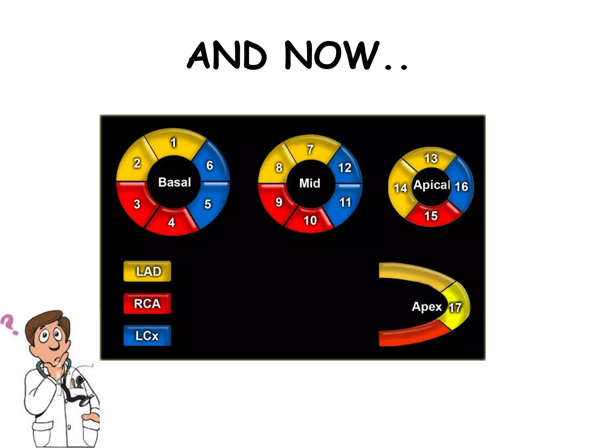 Sequential segmental analysis of heart | PPTX
