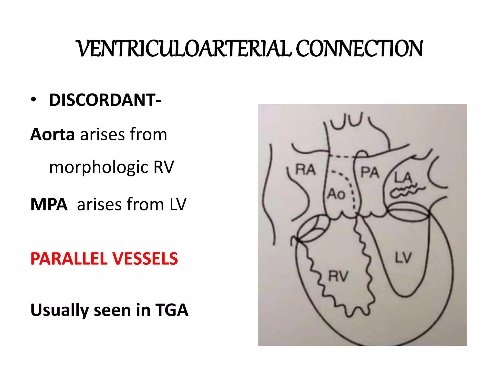 Sequential segmental analysis of heart | PPTX