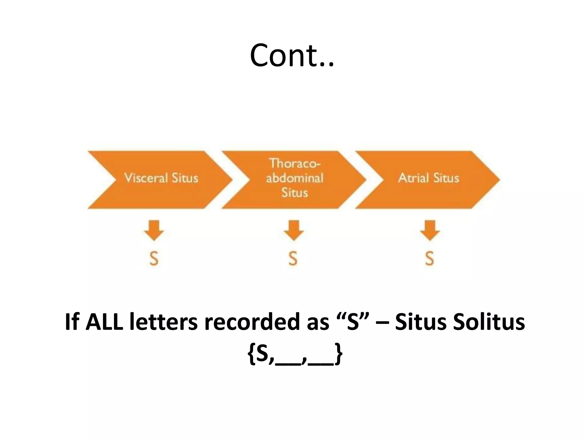 Sequential segmental analysis of heart | PPT