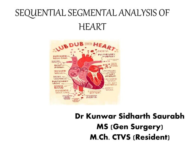 Sequential segmental analysis of heart | PPT