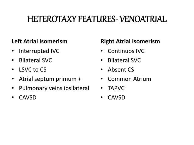 Sequential segmental analysis of heart | PPT
