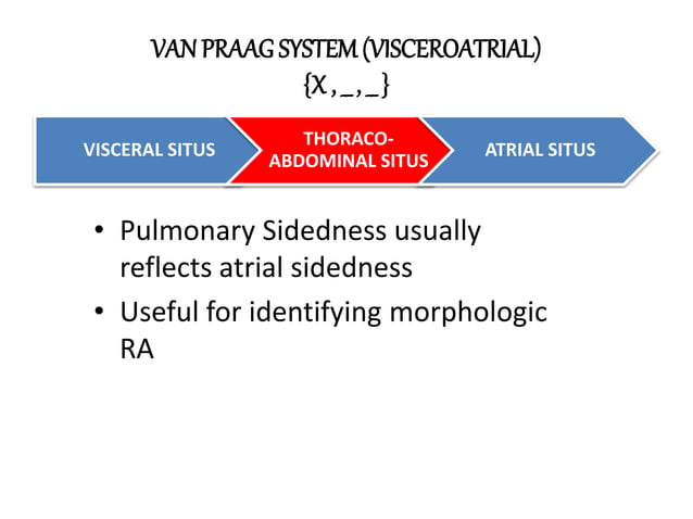 Sequential segmental analysis of heart | PPT