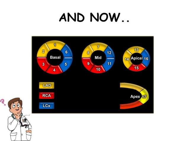 Sequential segmental analysis of heart | PPT
