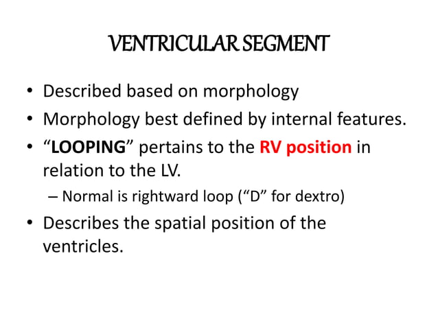 Sequential segmental analysis of heart | PPT