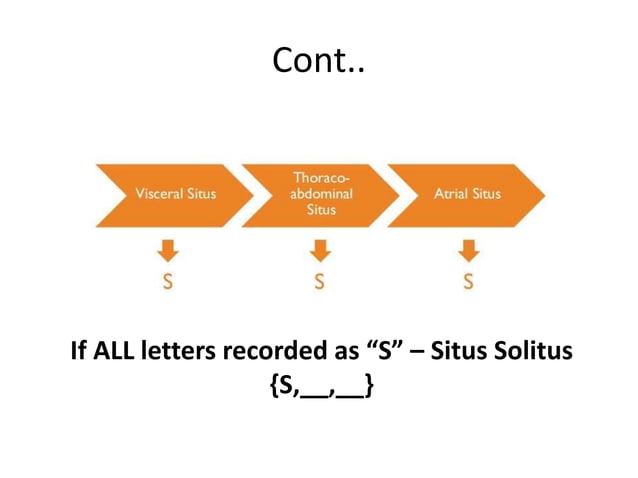 Sequential segmental analysis of heart | PPT