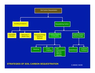 Sequestering Carbon in Soil | PDF | Agriculture | Industries