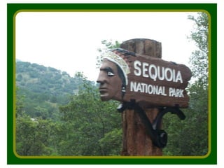 Sequoia | PPT