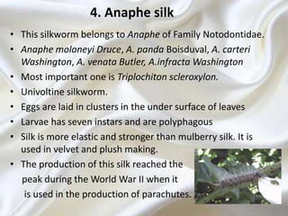 Silk producing insects | PPTX