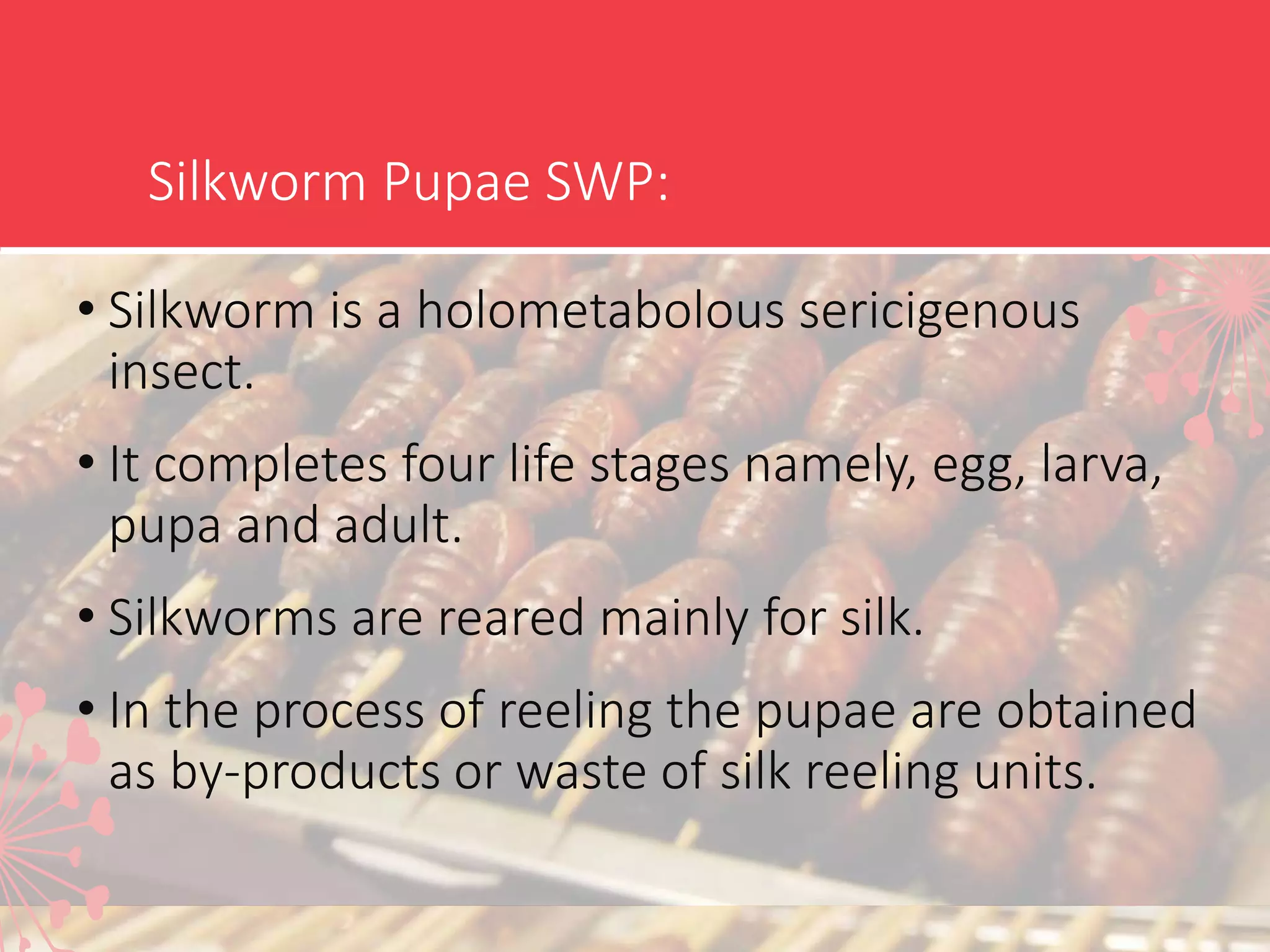 Nutrient and Dietary Uses of Silkworm Pupae | PPTX