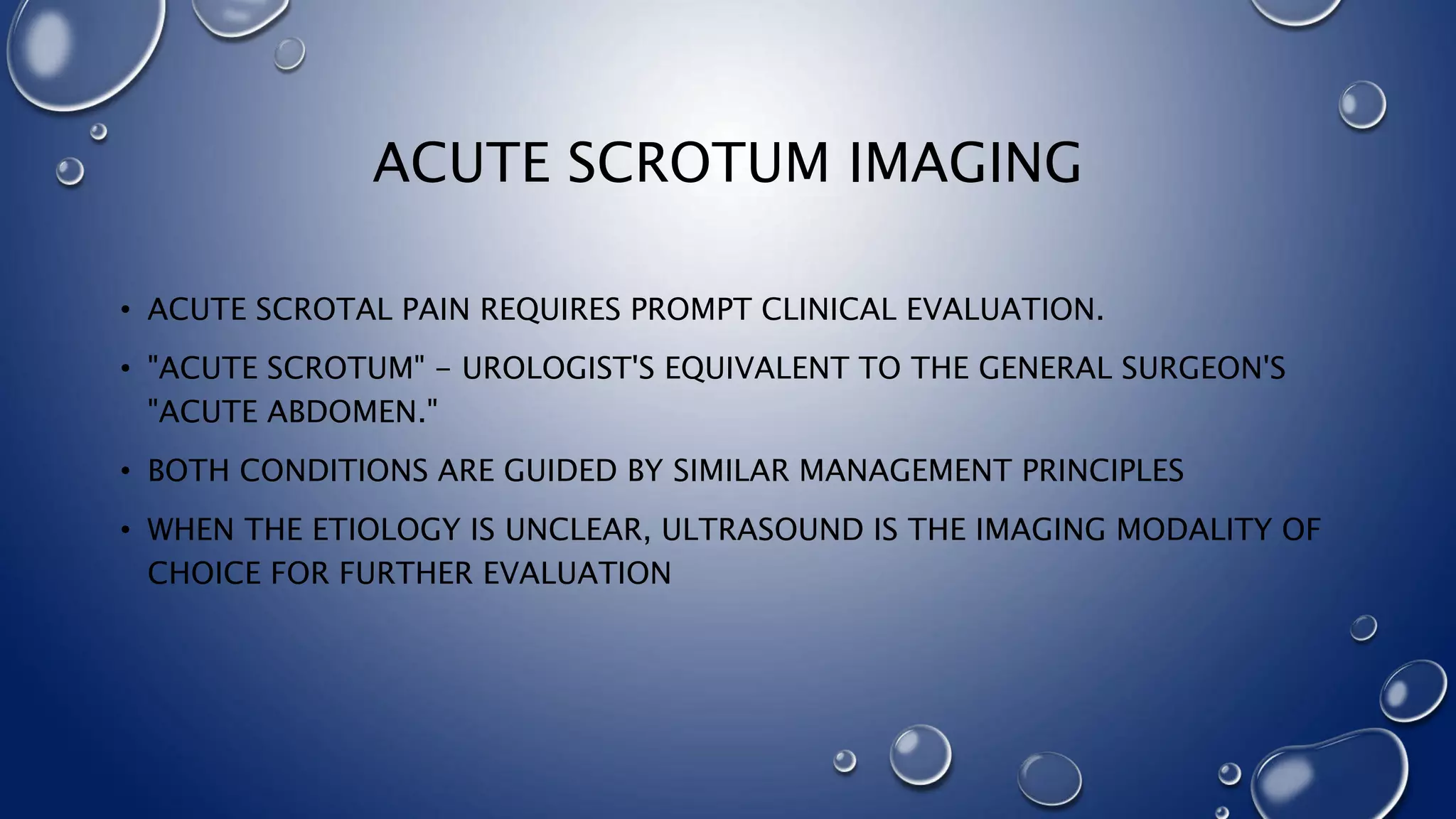 Ser 2016 acute scrotum 1 dr.amitha | PPTX
