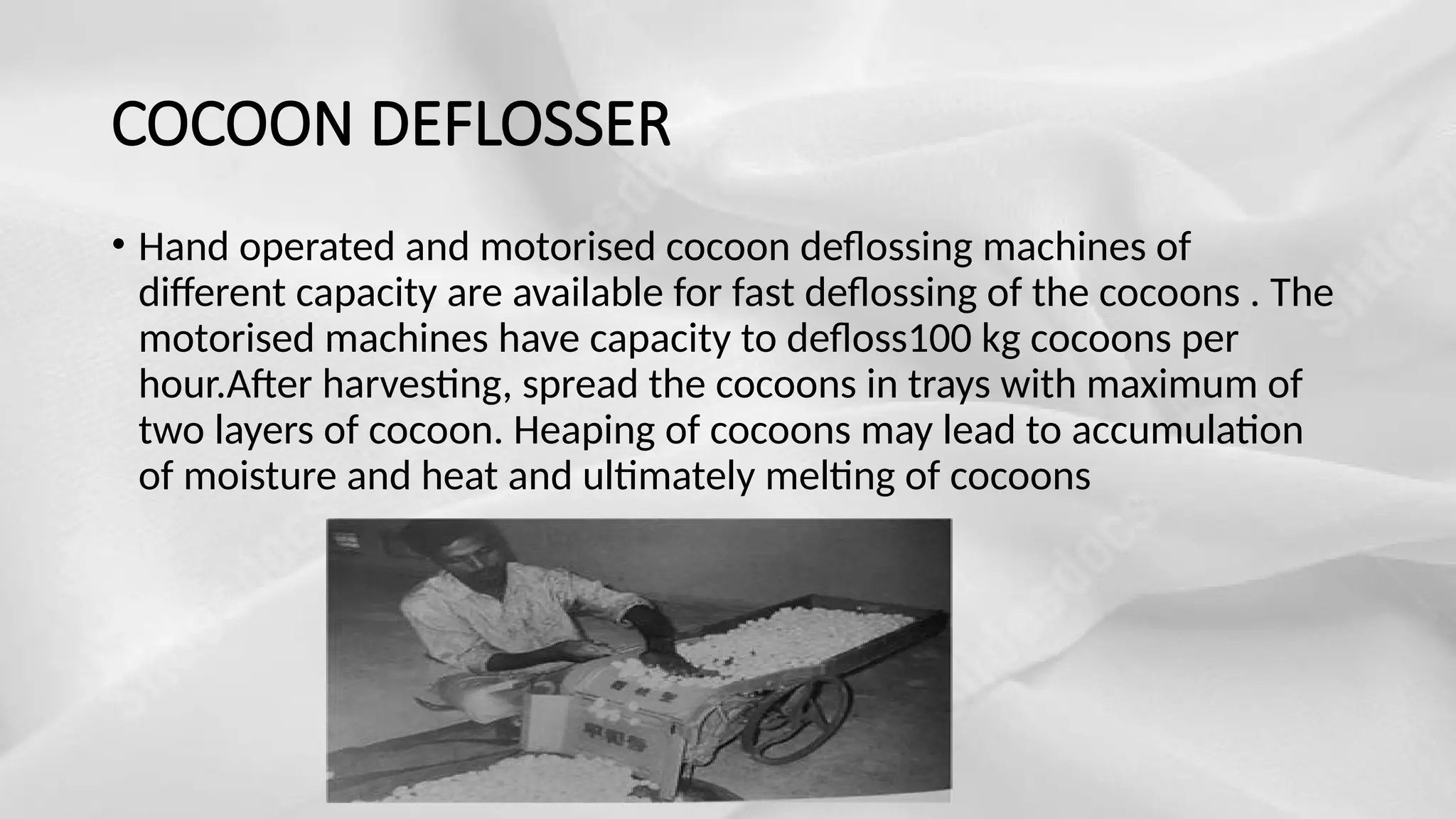 SER308 COCOON PRODUCTION TECHNOLOGY(0+2).pptx