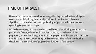 SER308 COCOON PRODUCTION TECHNOLOGY(0+2).pptx