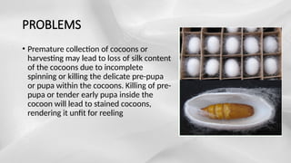 SER308 COCOON PRODUCTION TECHNOLOGY(0+2).pptx