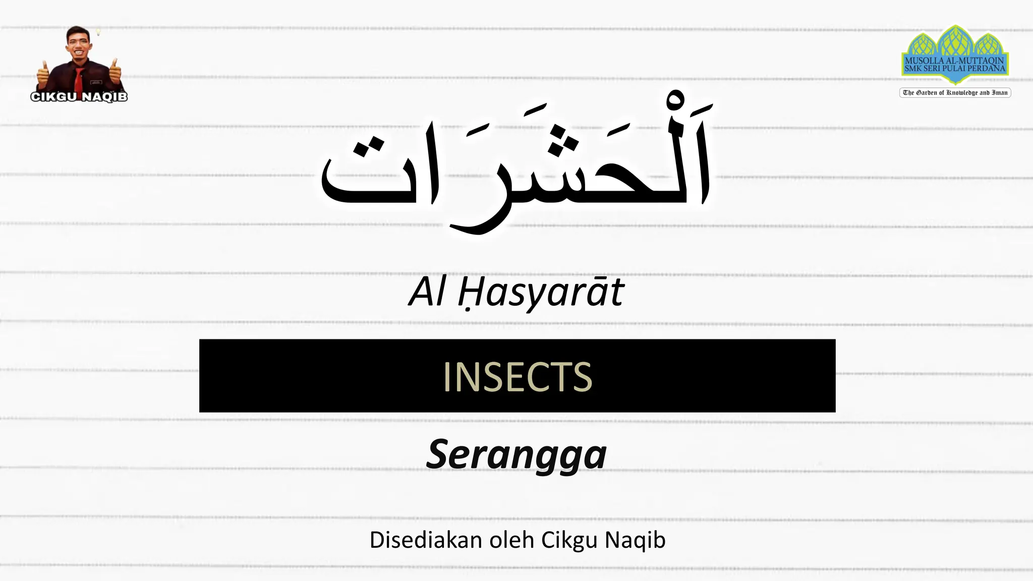 Serangga (الحشرات) - Insects (Bahasa Arab) | PDF