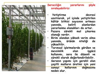 Sera Yapımı Tekniği | PPTX