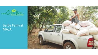 Serba Farm Organic Plantation | PPTX